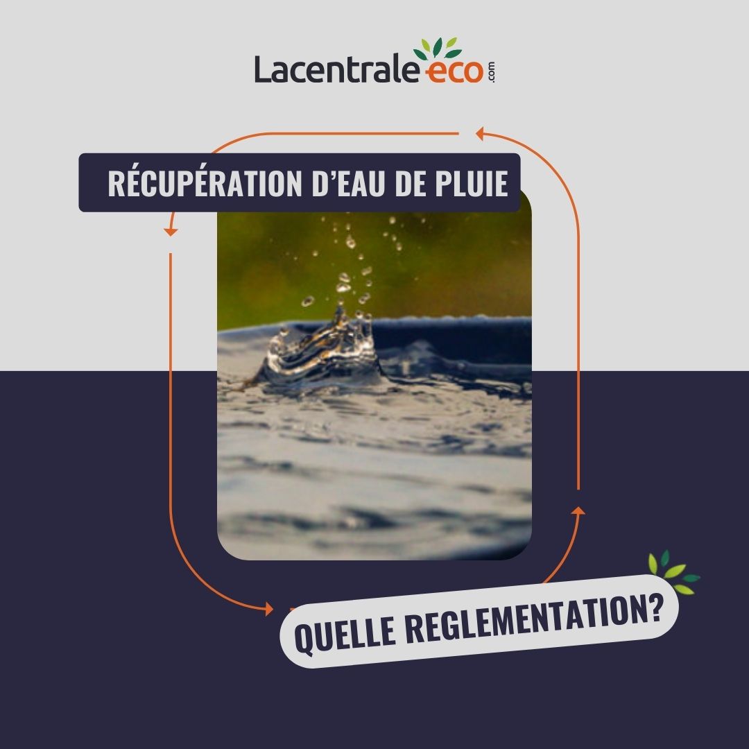 Réglementation sur la récupération de l'eau de pluie : ce que vous devez savoir